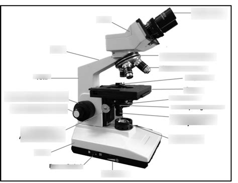 Microscope Labeling Diagram Quizlet