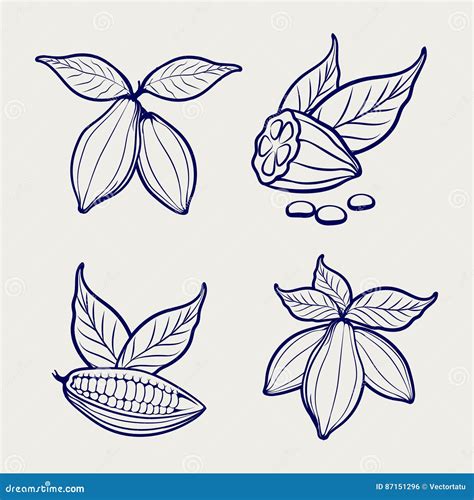 Cocoa Beans Illustration Cartoon Style Chocolate Cocoa Beans Tree 168199614