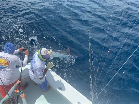 Tamarindo Fishing Charters Costa Rica Sport Fishing