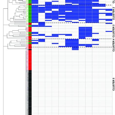 Dendrogram Showing The Clustering Of All Individuals In Main Groups And Download Scientific