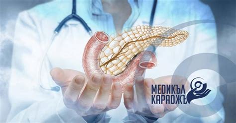 Рак на панкреаса тумор на панкреаса Health Information Centre Medical Karaci