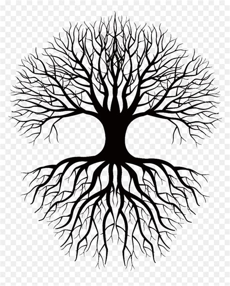 Tree And Roots Silhouette Png Transparent Png Vhv