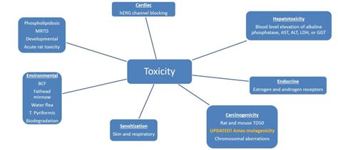 Toxicity Prediction QSTR Adverse Drug Reactions Carcinogenicity