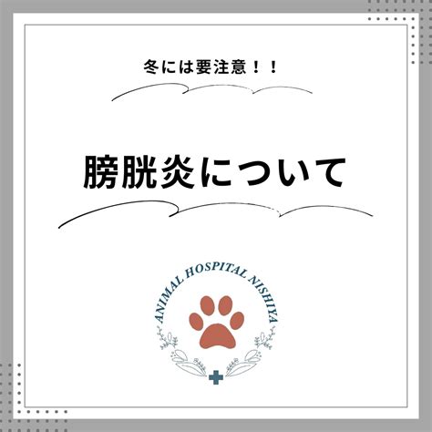 動物病院西谷 新院長の診察、診察時間の変更は、 4月からスタートします！ 3月までは現在の診療体制ですので、ご注意ください。 皆さまにお