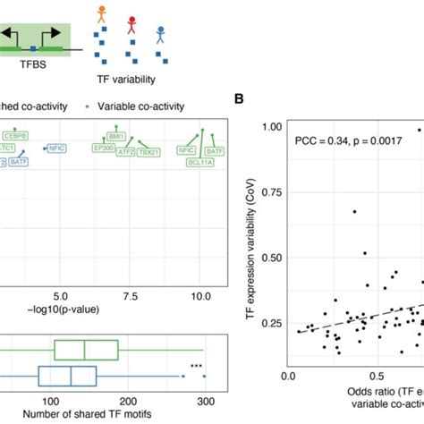 Tf Expression Variability And Binding Differences Influence Co Activity Download Scientific