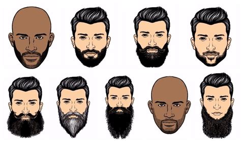 The Shape Of Your Face For Your Beard Style Types Of Beard Styles