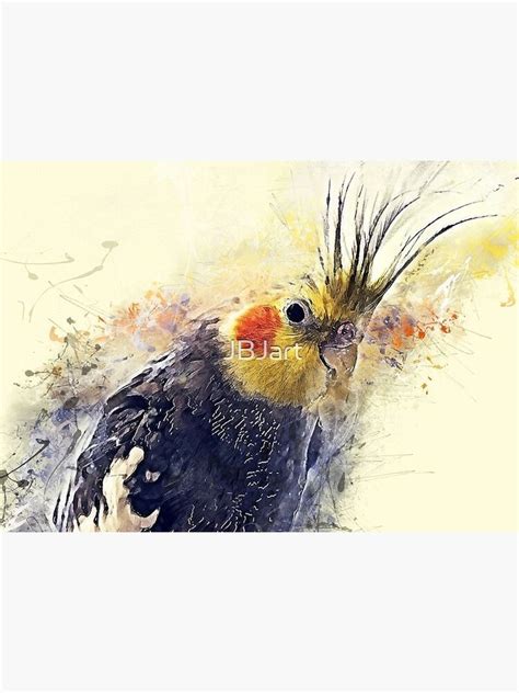Cockatiel Premium Matte Vertical Poster Sold By Macx Sku 41763354