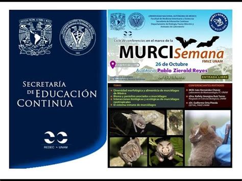 Fmvz Unam Logo Hospital Veterinario De Especialidades Unam Y La