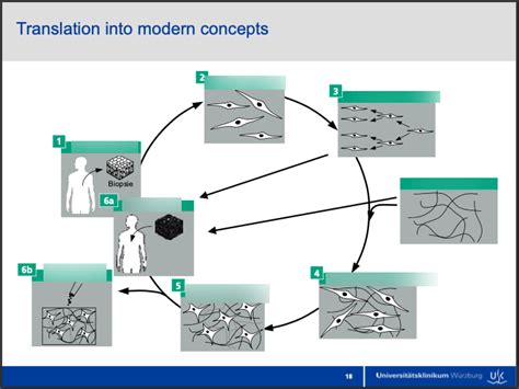 Basics Diagram Quizlet