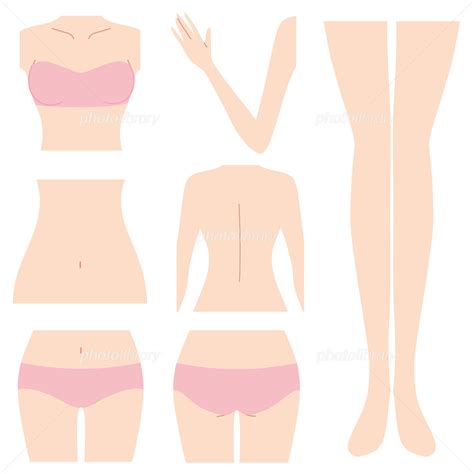 女性 体 ボディ パーツ イラスト素材 3008870 フォトライブラリー Photolibrary