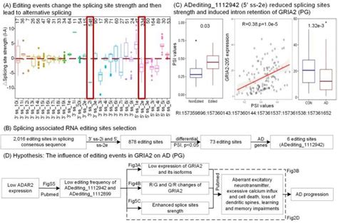 Rna Editing Events And Alternative Splicing A Distribution Of The Download Scientific