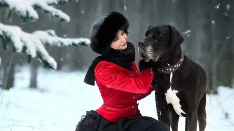 5 самых крупных пород собак которых завести не побоятся только самые отважные