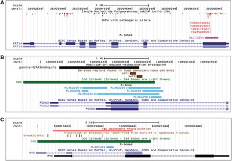 R Loops Co Localization With Mutations And Recombination Regions A