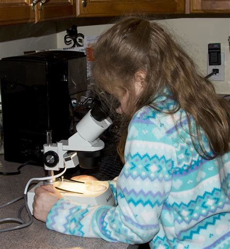 Microscopes And Babe Scientist Somewhere Something Incredible Is Waiting To Be Known