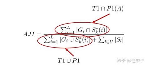 计算病理学——图像分割的评价指标梳理 知乎