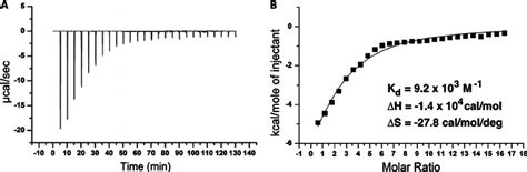 Isothermal Titration Calorimetric Analysis Binding Isotherms