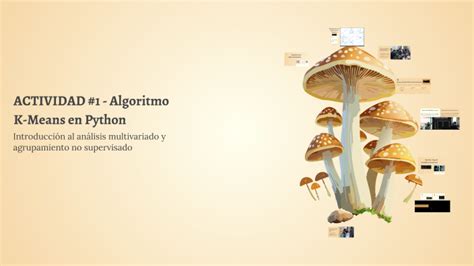 Algoritmo K Means En Python By Trabajo De Grado On Prezi