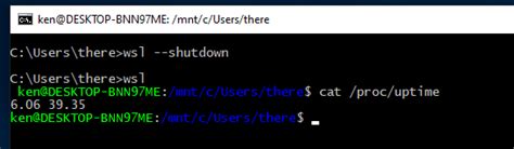 Uptime Output Is Not Correct · Issue 4791 · Microsoftwsl · Github