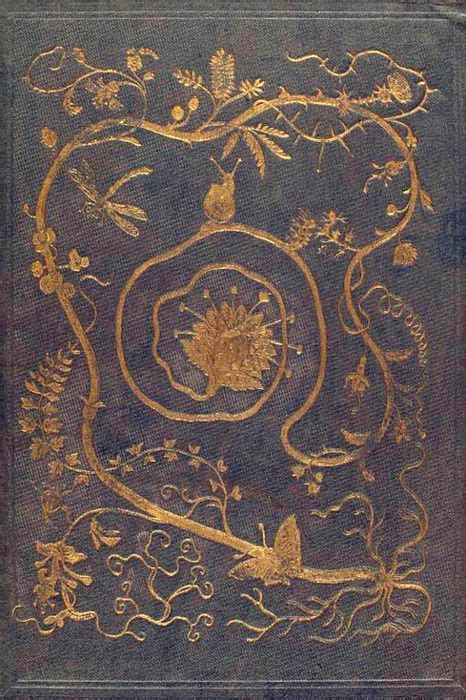 Пин от пользователя Alda Hodkiewicz на доске Book Cover Дизайн книг Книжные обложки картинки