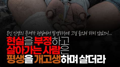 시청자댓글 현실을 부정하고 살아가는 사람은 평생을 개고생하며 살더라 이 또한 현실입니다 Youtube