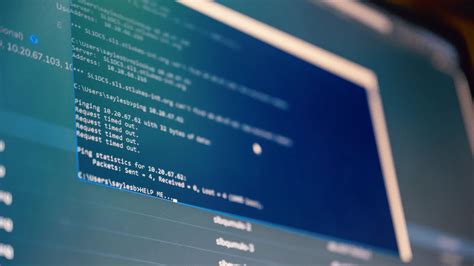 10 Best Programming Languages For Cybersecurity