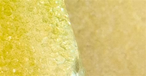 Edulis On Linkedin Ce Quil Faut Savoir Sur Les Microbilles Quil Y A Dans Votre Crème De Jour