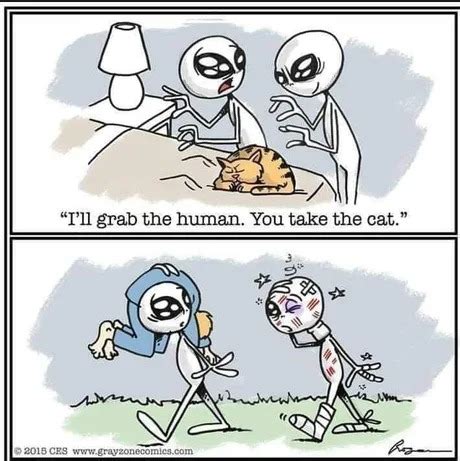 Funny Memes Comics