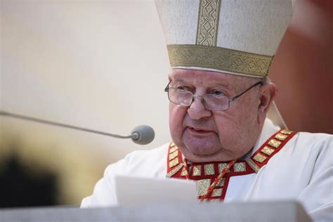 Vatican Sets Up Sex Abuse Panel On Dziwisz Topnews Ansait