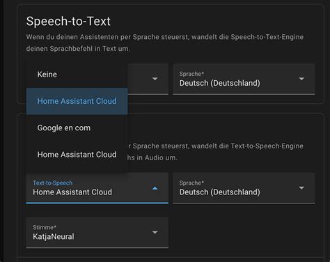 Text To Speech Twice In Assist Config Dialog Voice Assistant Home Assistant Community