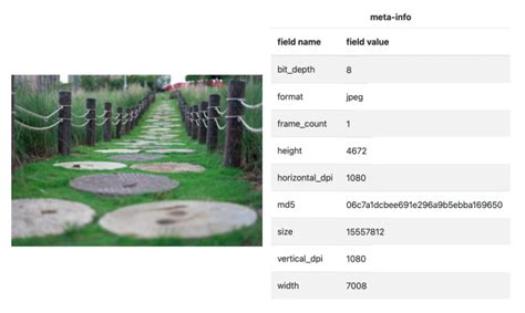 How To Get The Metadata Such As Md5 Hashresolutionbit Depth Of Images