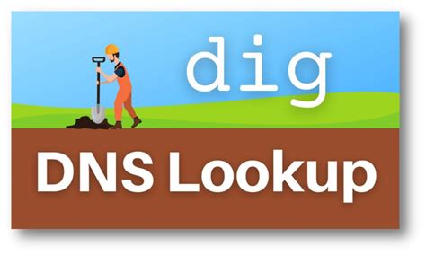 What Are Pointer Records And Why Should You Create Them © Tezhost