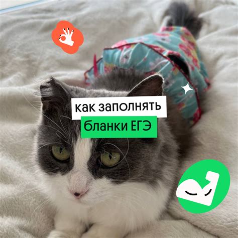 Как заполнять бланки ЕГЭ инструкция Без Сменки