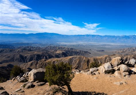 Coachella Valley American Conservation Experience