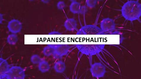 Japanese Encephalitis Pptx