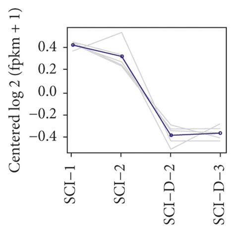 Cluster Analysis Of DEGs Between Each Spinal Cord Sample A