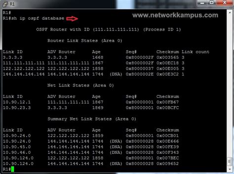 Ders 31 Ospf KomŞuluklar Ve “show Ip Ospf Database” Komutu Networkkampüs