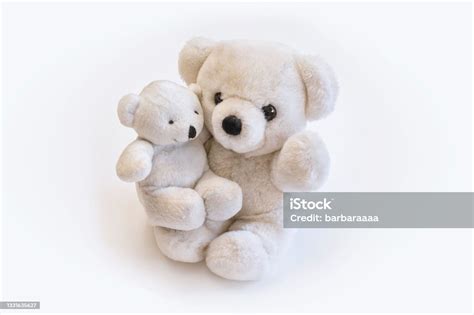 부모와 자식 테디 베어는 흰색 배경에 고립 서로 껴안고 공간을 복사합니다 손실에 대한 스톡 사진 및 기타 이미지 손실 어린 시절 애정이 어린 Istock