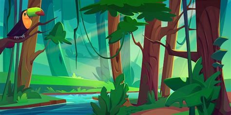 Cartoon Rainforest Images Free Download On Freepik
