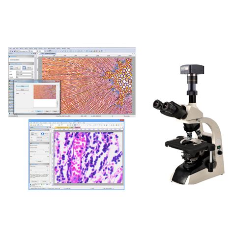 Seta Para Microscópio Optika Indicador De Ocular Para Aulas E