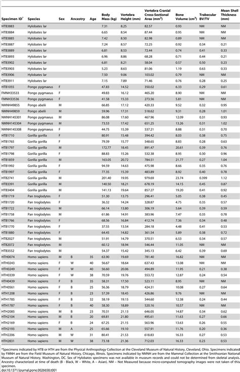 Details Of Specimens Used In Finite Element Modeling And Micro Computed Download Table