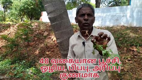 🙏 இரத்தத்தில் 48 வகையான பூச்சி ஒழிய குப்பைமேனி செடியின் வேர் தீர்வு 🙏 Youtube