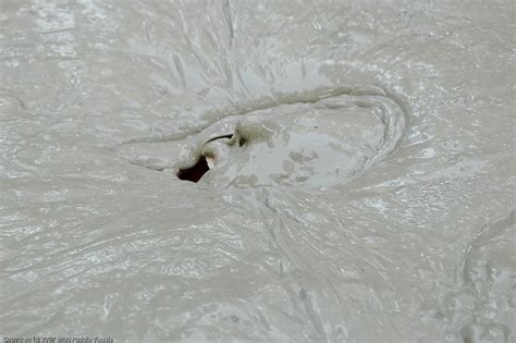 Mud Puddle Visuals On Twitter 3 4 Lena In Bubbling Clay Ultimate Edit Lena Puts On A