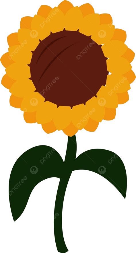 向日葵illustration向量在白色背景植物夏天美麗 向量 植物 夏天 美麗向量圖案素材免費下載PNGEPS和AI素材下載