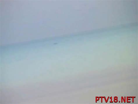 Wang Is In A Lustful Brunette Honey Honey Demon