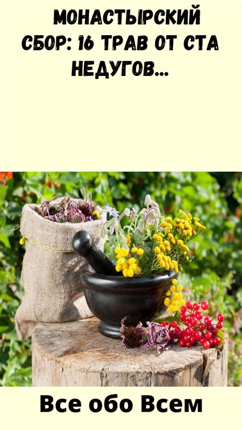 Все обо Всем Трава Лекарственные растения Здоровье