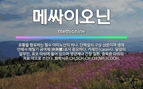 🌟메싸이오닌 유황을 함유하는 필수 아미노산의 하나 단백질의 구성 성분이며 생체 안에서 메틸기 공여체供 표준국어대사전