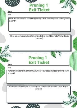 Pruning Exit Ticket By Flora By Forsyth TPT