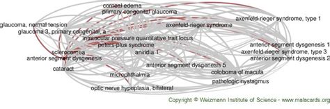 Anterior Segment Dysgenesis Disease Malacards Research Articles Drugs Genes Clinical Trials