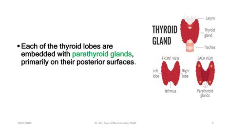 Thyroid Function Testpptx