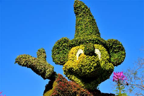 Fantasia Mickey Topiary At Future World West At Epcot In Orlando